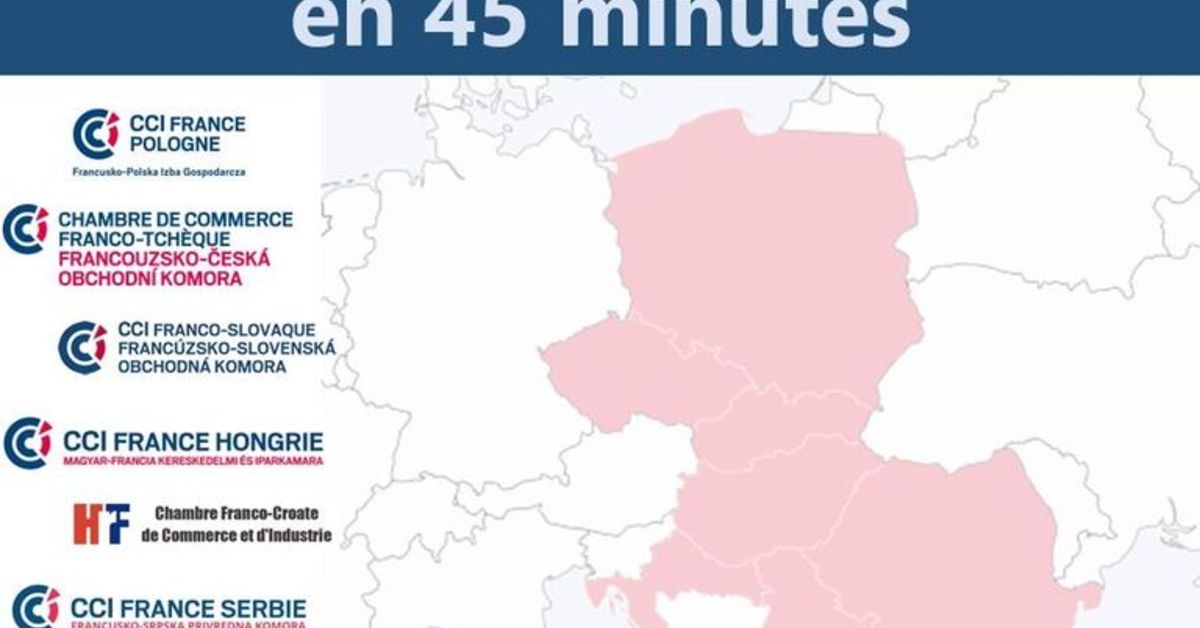 Tour of the CEE countries in 45 minutes #2 | CCI France Serbie